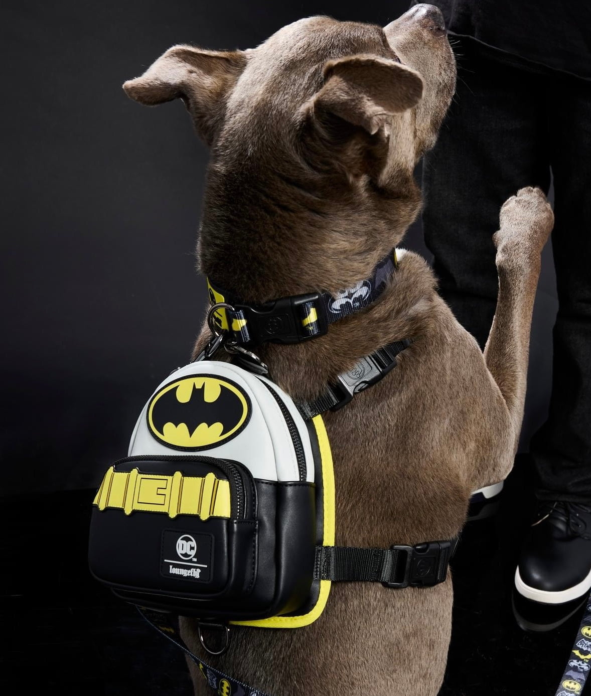 Loungefly Pets DC Comics Batman Mini Backpack Harness– LF Lovers